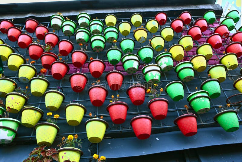 Pot Plants Composition on the Wall Stock Image - Image of ornamental ...