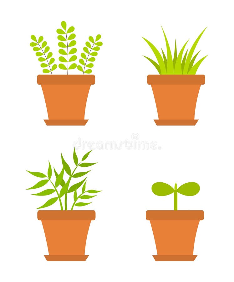 Set of Vector Herbs in Pots with Labels Stock Vector - Illustration of ...