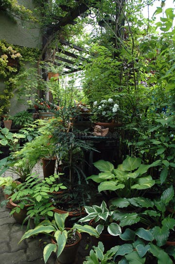 Group Plants Shadow Garden Place Stock Photos - Free & Royalty-Free ...