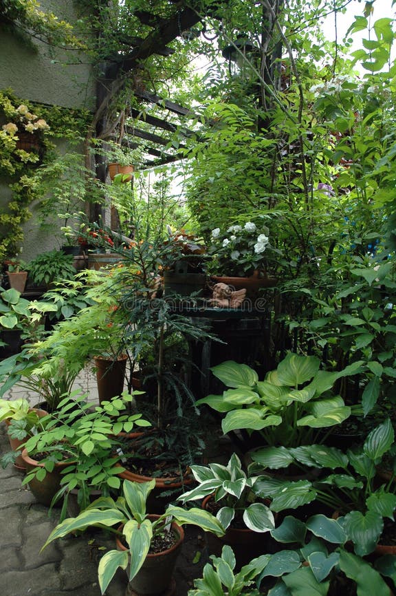 Group Plants Shadow Garden Place Stock Photos - Free & Royalty-Free ...