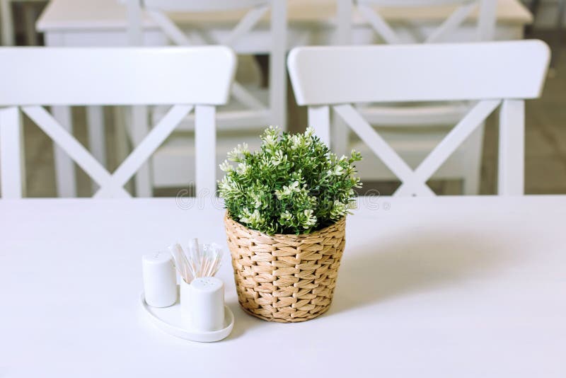 A Pot of Plastic Plants, on a Table in a Wicker Pot-2. Stock Photo ...