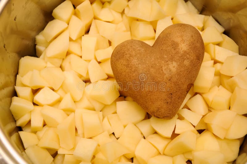 Pot of Potatoes stock photo. Image of arrangement, brown - 84563352