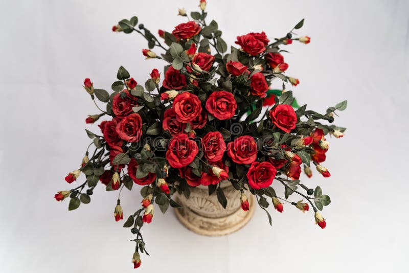 Beautiful Red Roses in a Ceramic Pot Stock Image - Image of decor ...