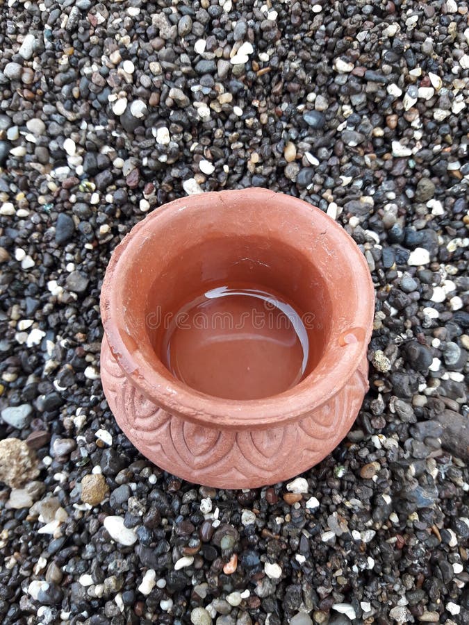 Pot stock image. Image of rose, favourite, photograph - 80372915