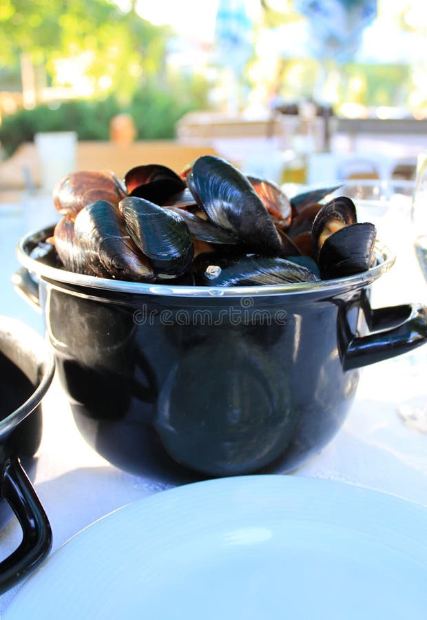 A Pot with Steamed Mussels stock image. Image of healthy - 41499047