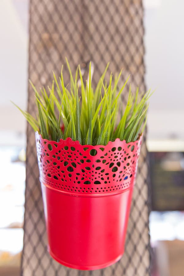 Pot tree stock image. Image of home, environment, macro - 74334591