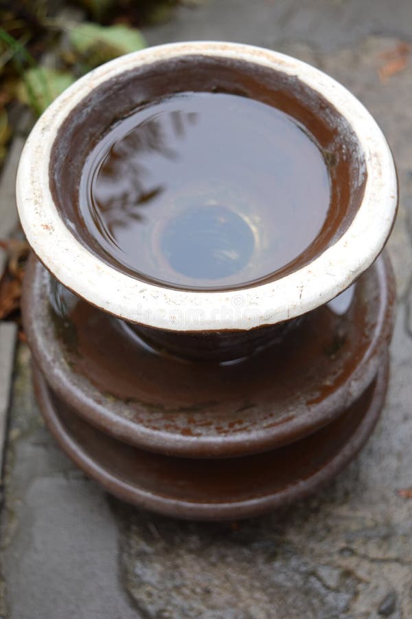Pot of Water is in the Garden Stock Photo - Image of green, decoration ...