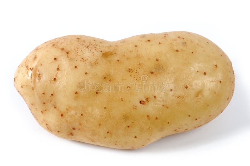 Potatis Som Individuellt Fotograferas Arkivfoto - Bild av lantbruk ...