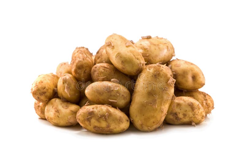 Potato stock photo. Image of food, healthy, cooking, root - 12950898