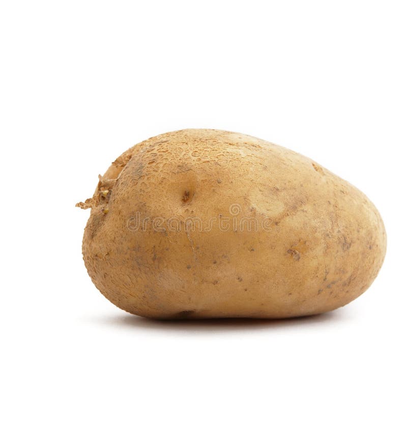 Potato stock photo. Image of nature, healthy, ingredient - 2766482