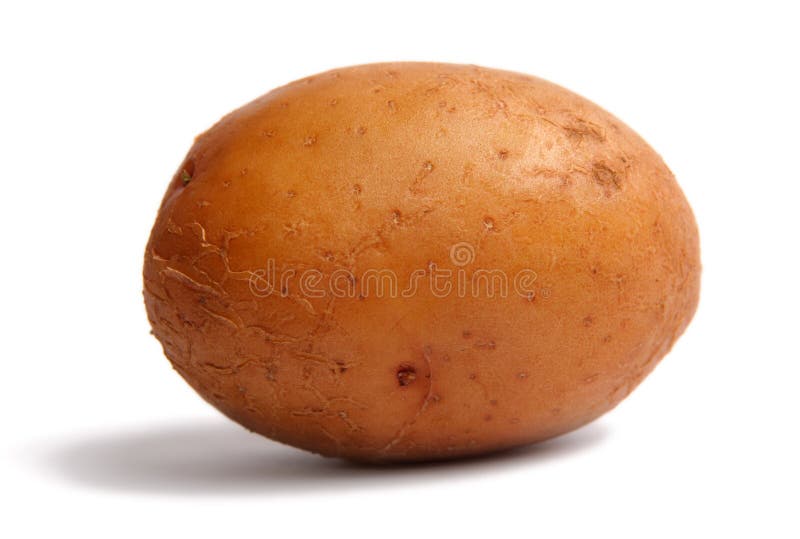 Single potato stock image. Image of vegetarian, starch - 19515917