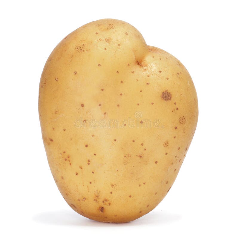 Potato stock image. Image of vegetables, large, eyes, diet - 186551
