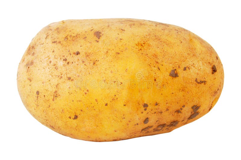 Potato stock image. Image of vegetables, large, eyes, diet - 186551