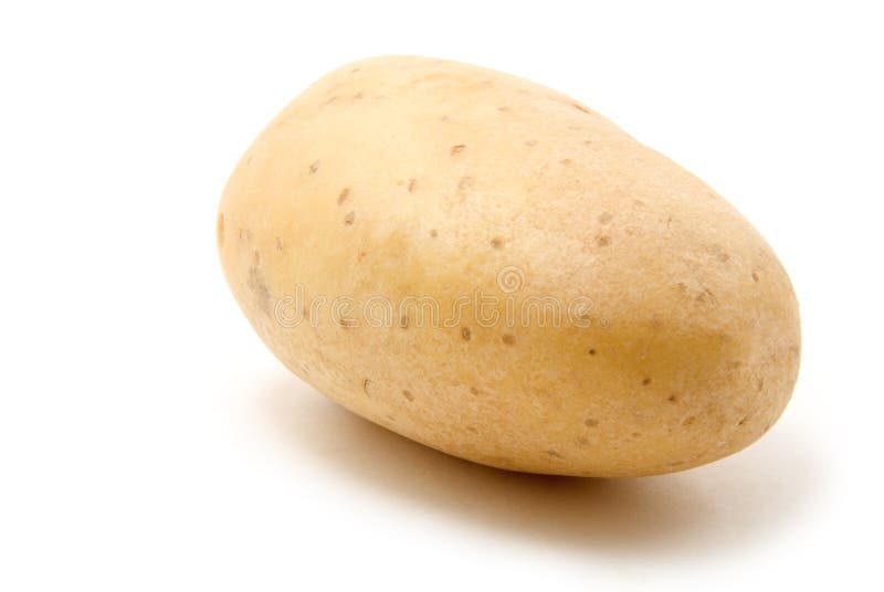 Potato stock photo. Image of nature, healthy, ingredient - 2766482