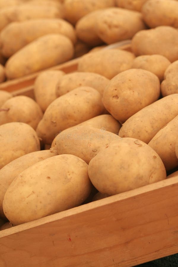 Potato Free Stock Photos & Pictures, Potato Royalty-Free and Public ...