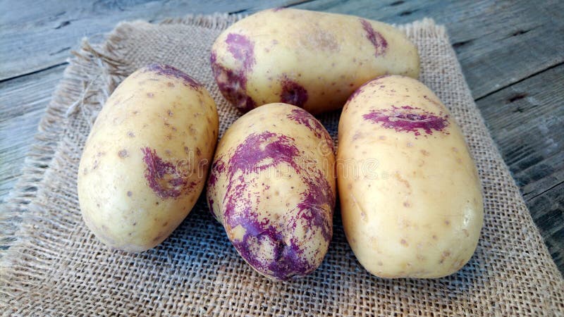 Potato azul de Belle foto de archivo. Imagen de hermoso - 199917158