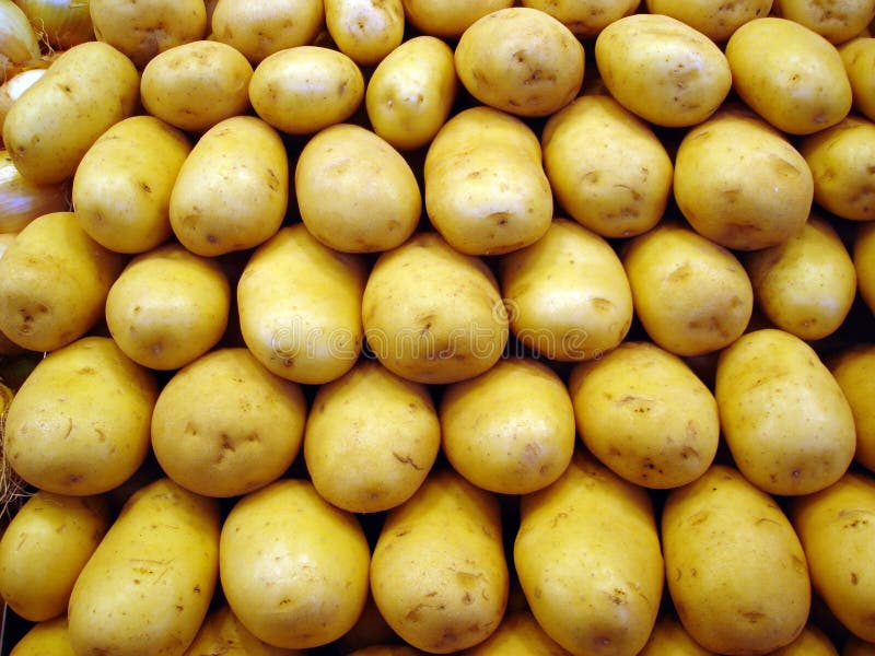 Potato background stock image. Image of vegetable, abstract - 1062765