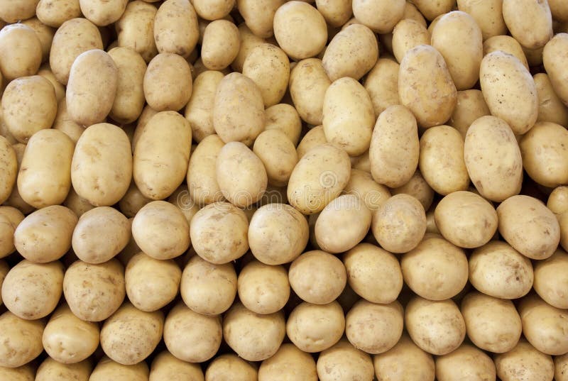 Potato background stock photo. Image of diet, background - 33940440