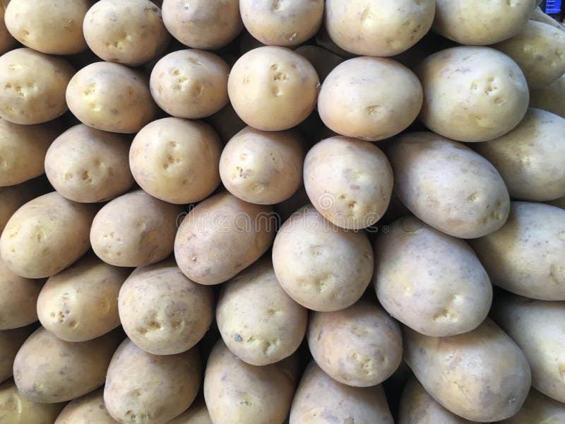 Potato background isolate stock photo. Image of pile - 103657196