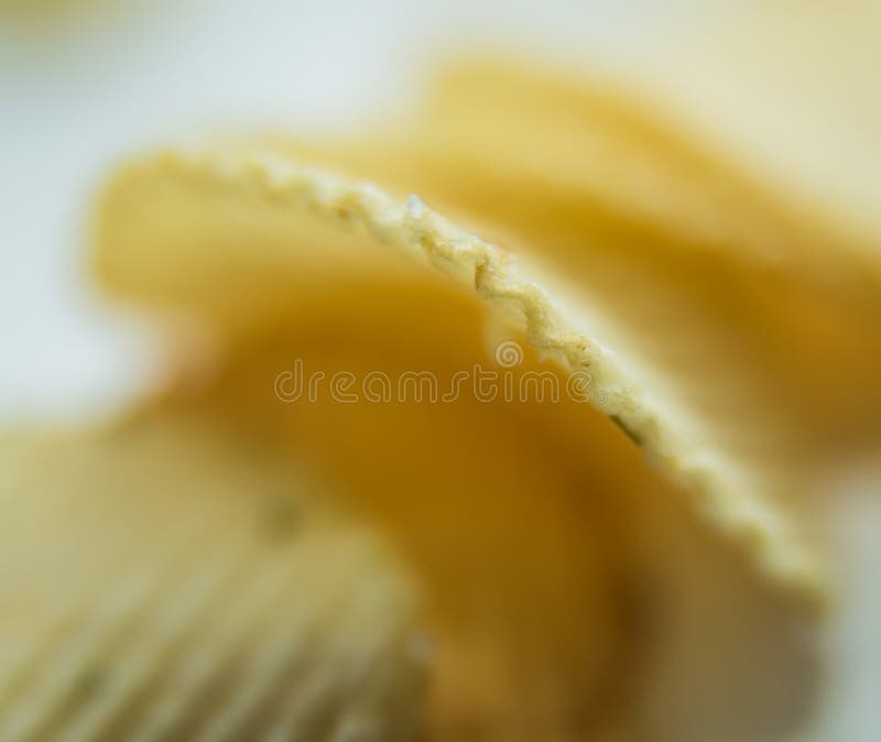 Potato chips stock photo. Image of eating, large, saturated - 50100598