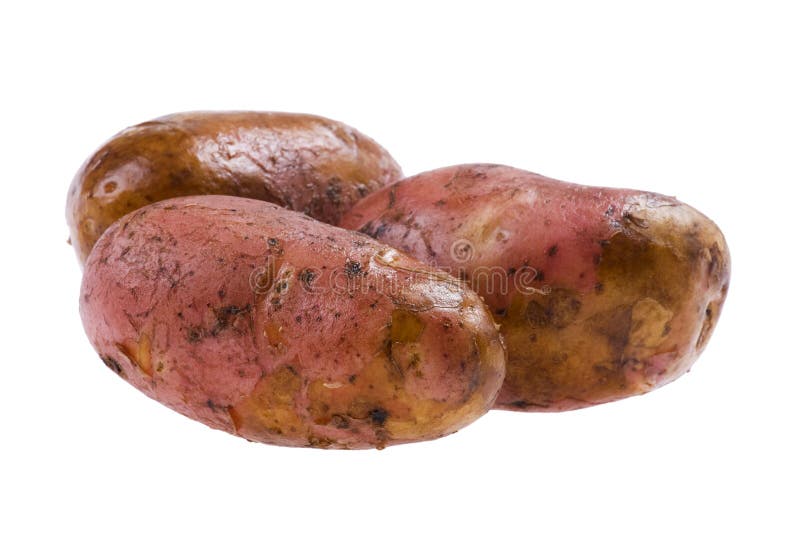 Potato close up stock photo. Image of feeling, healthy - 15476636