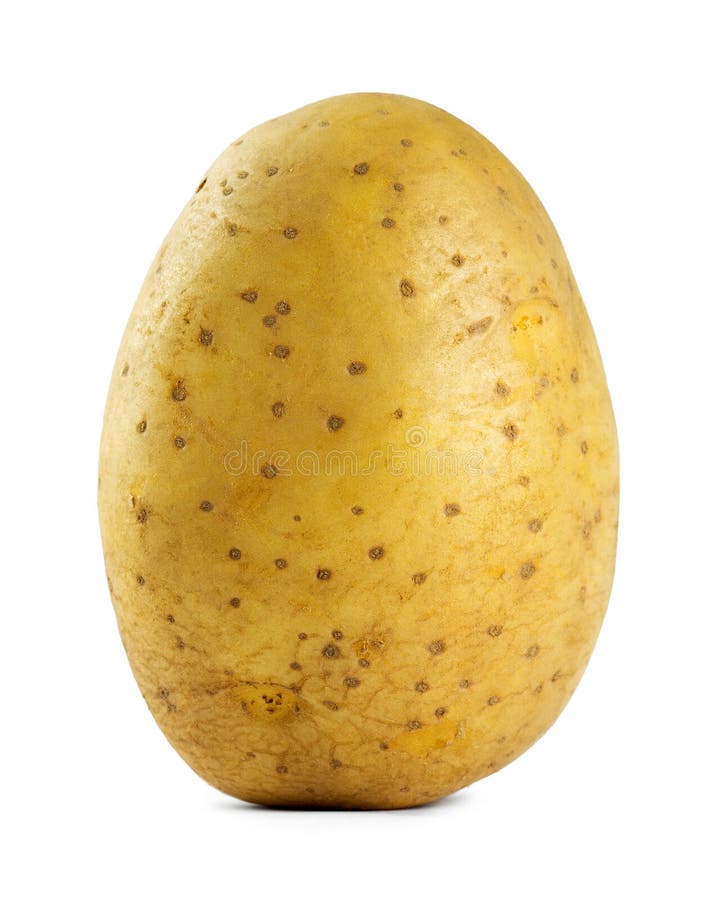 Potato closeup stock photo. Image of freshness, potato - 59688304