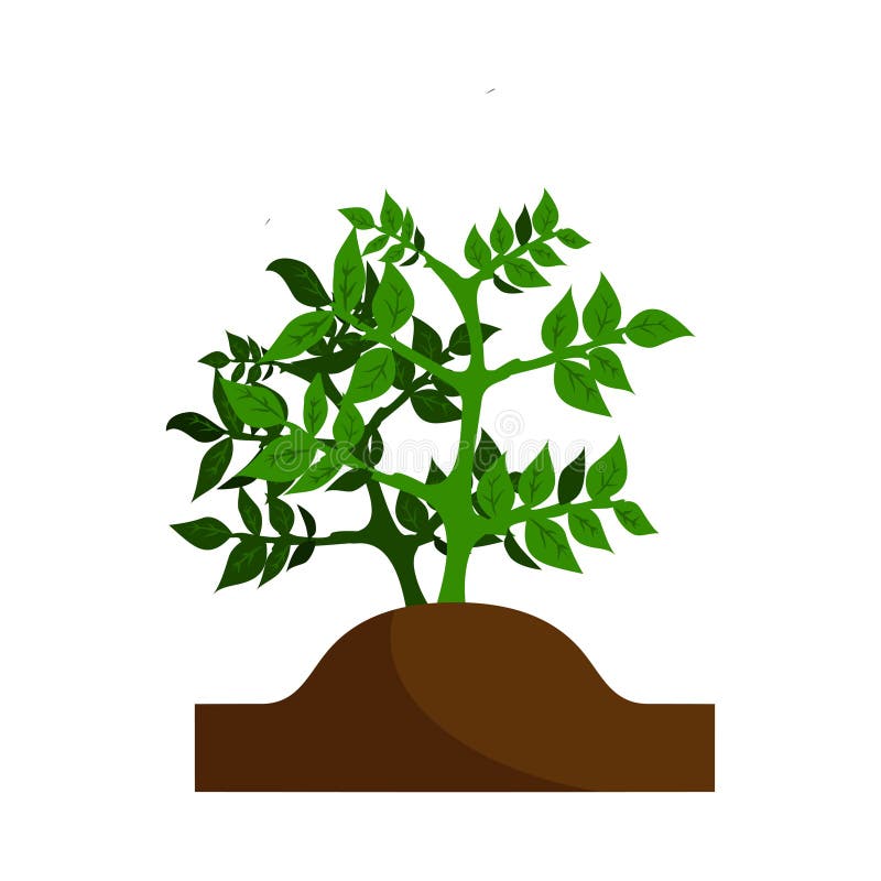 Potato Cultivation Icon stock vector. Illustration of cultivation ...
