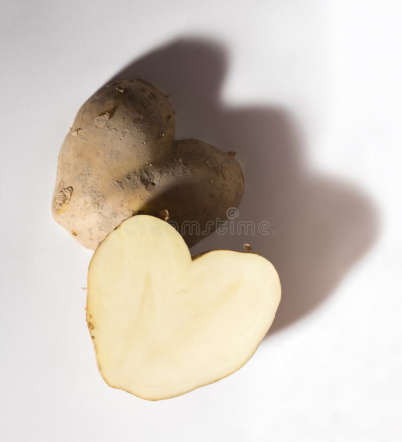 Potato cut in half stock image. Image of shadow, farming - 79053935