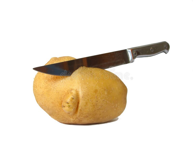 Potato cut by knife stock image. Image of cook, dinner - 6185673