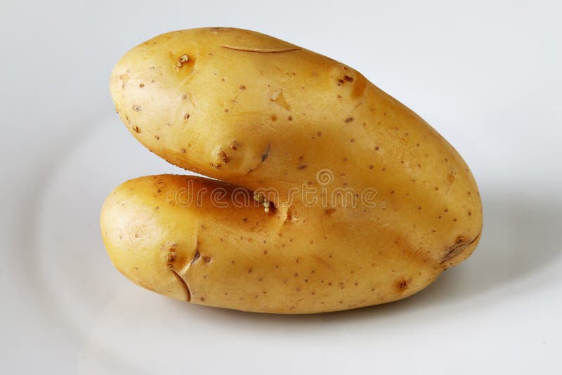 Bizarre potato stock photo. Image of altered, freak, praties - 44142022
