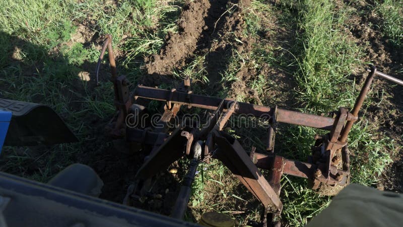 Using Tractor Skid Steers, Trees Were Uprooted from a Piece of Land To ...