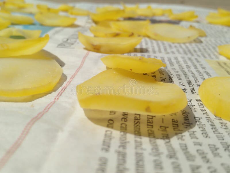 Potato drying stock image. Image of sunlight, potato - 92696017