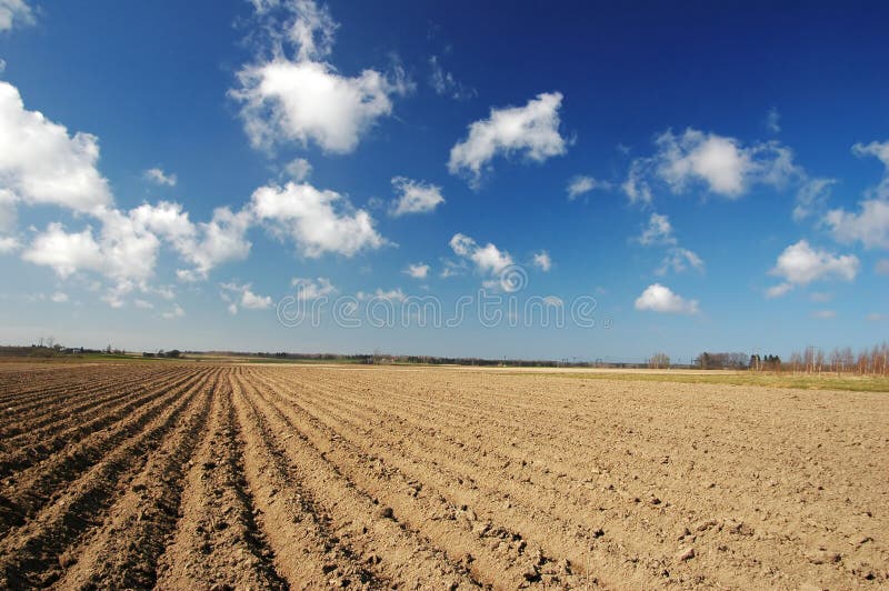 Ploughed Field Furrows stock photo. Image of farming, plough - 695692