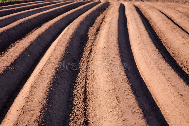 Ploughed Red Clay Soil Agriculture Fields Stock Image - Image of ...