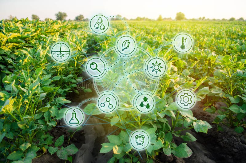 Scientific Work and Development of Agriculture. High Technologies and ...