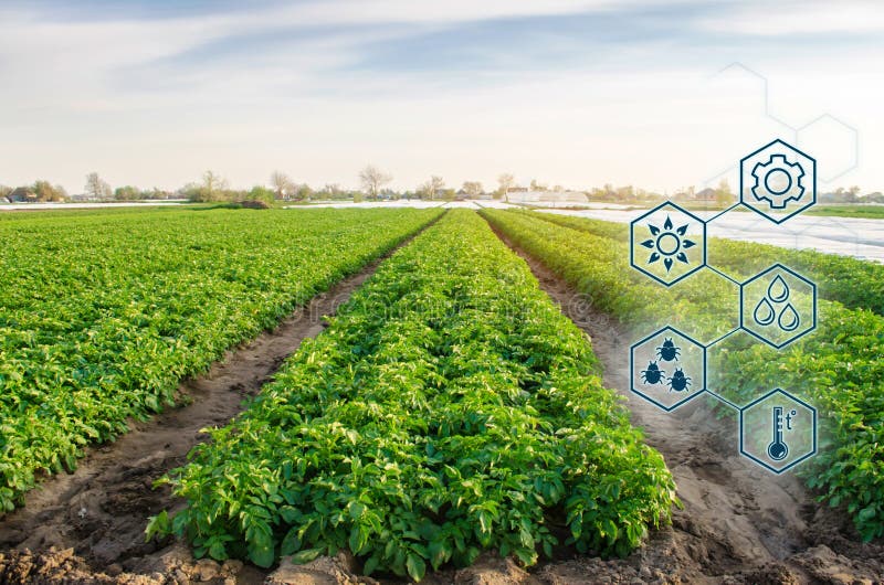 628 Agro High Stock Photos - Free & Royalty-Free Stock Photos from ...