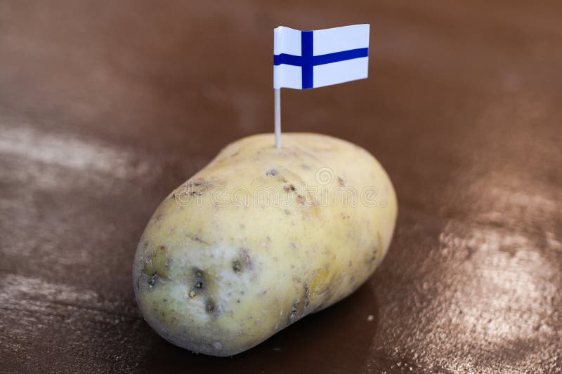 Potato with a Finnish flag stock image. Image of table - 368738055