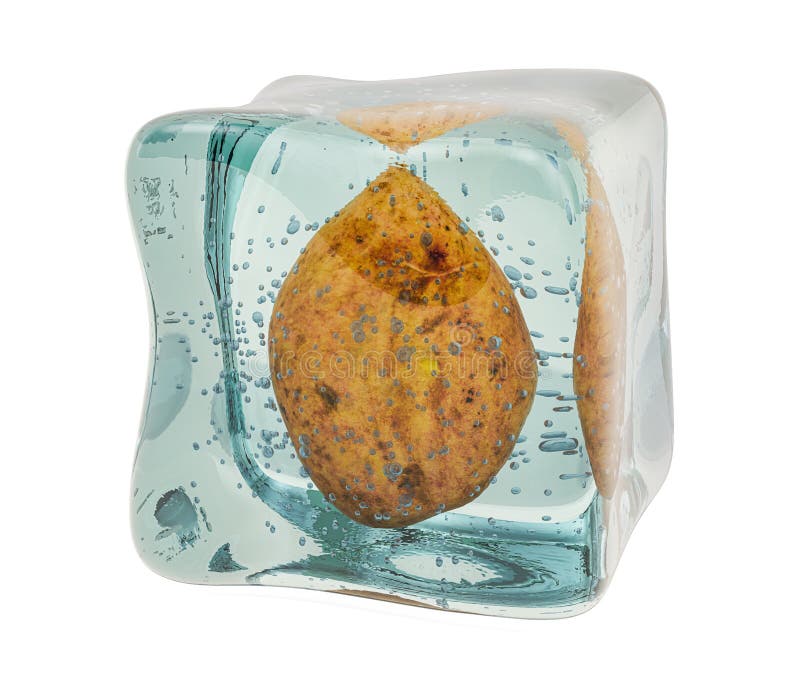 Alexlmx - Photographer profile