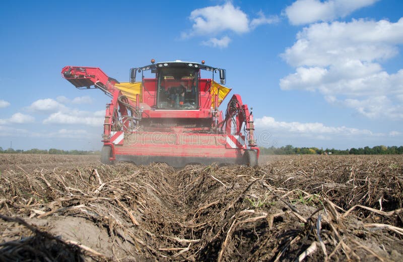 Potato harvester machine stock image. Image of rural - 231095609