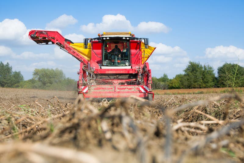 Potato harvester machine stock image. Image of farmer - 231663967