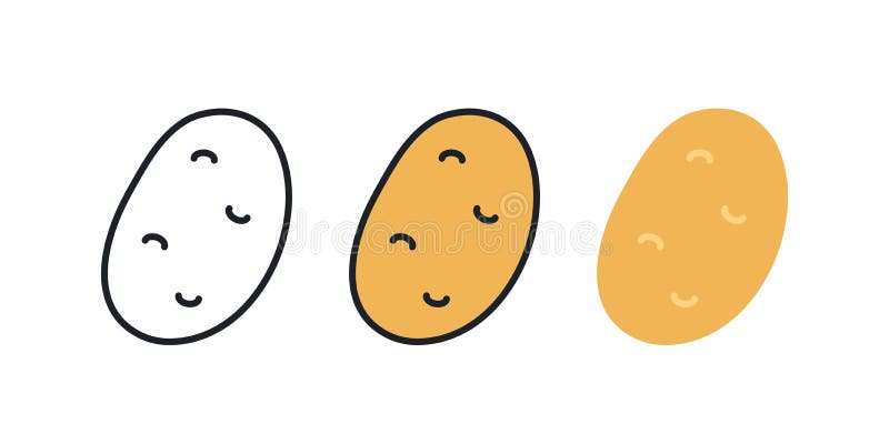 Potato Icon. Linear Color Icon, Contour, Shape, Outline Isolated on ...