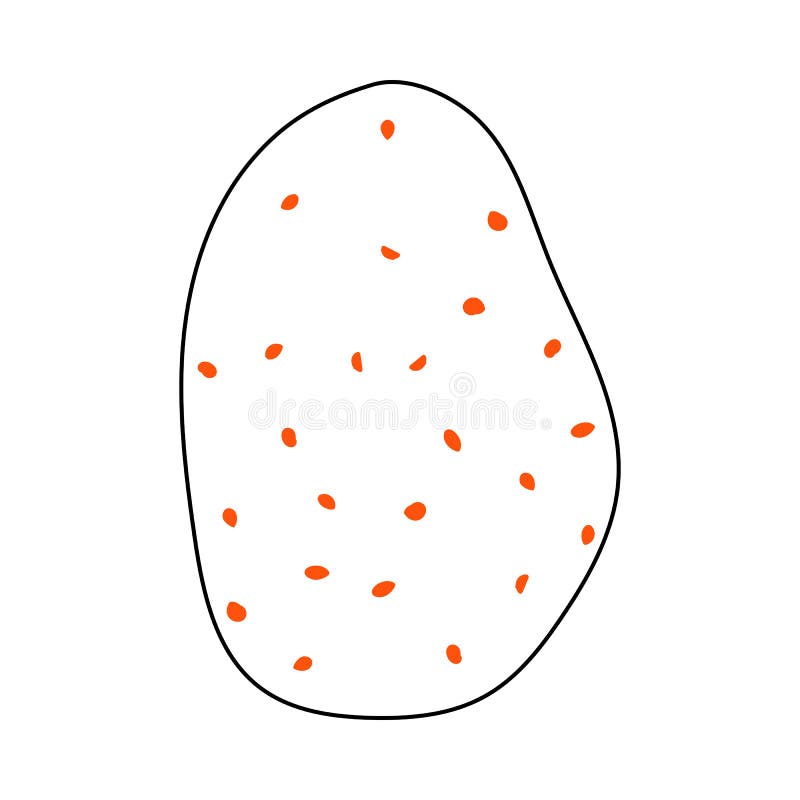 Potato Icon stock vector. Illustration of graphic, fresh - 145757780