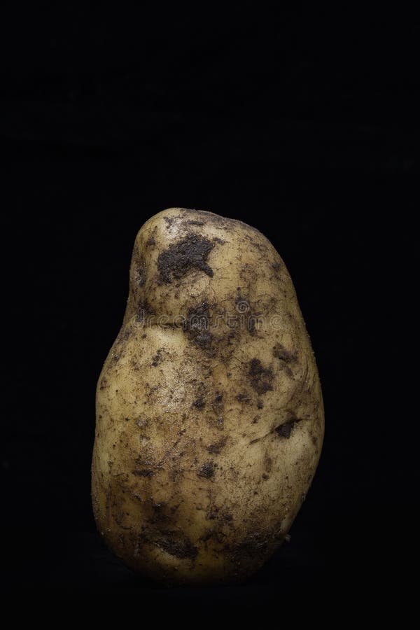 A Photo of Potato Texture Under a Macro Lens Stock Photo - Image of ...
