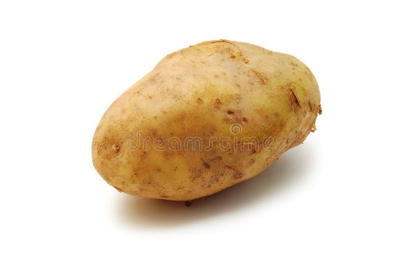 Potato isolated stock image. Image of vegetable, agriculture - 10102973