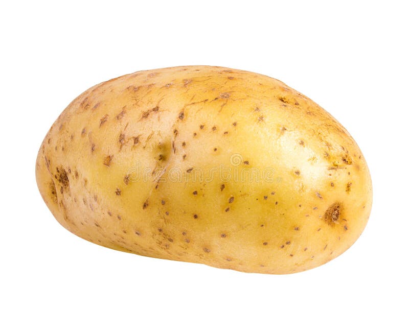 Potato isolated on white stock photo. Image of food, healthy - 89137596
