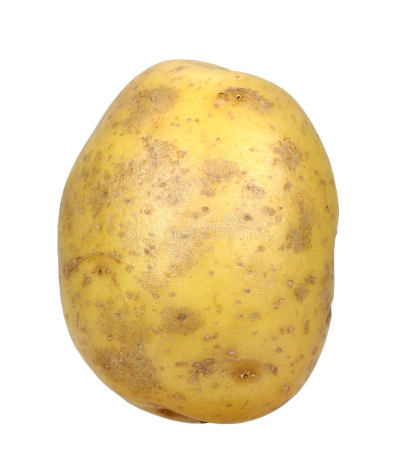 Potato Varieties Isolated on White Stock Photo - Image of potatoes ...