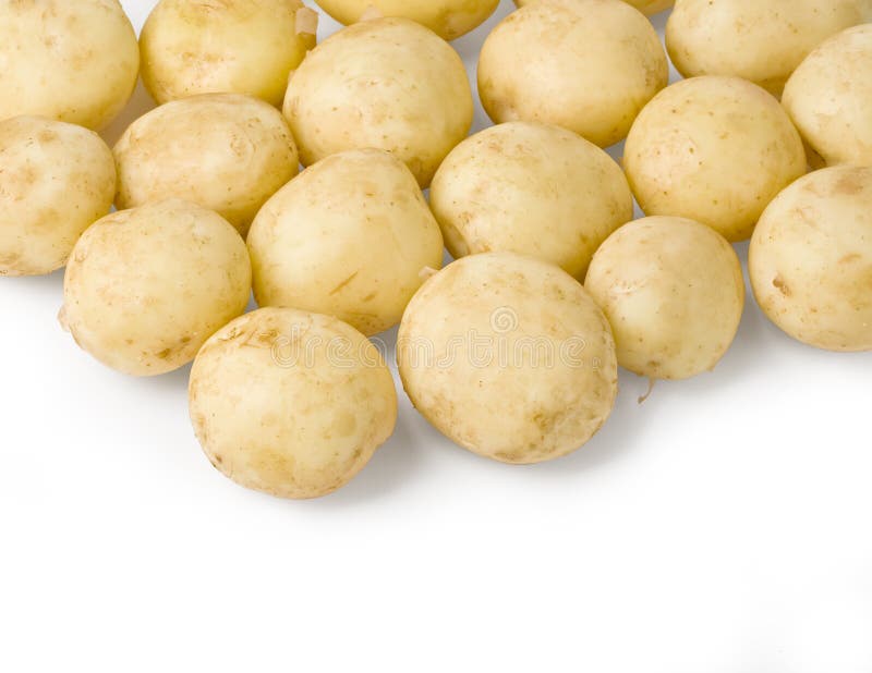 Potato isolated on white stock photo. Image of brown - 126704676
