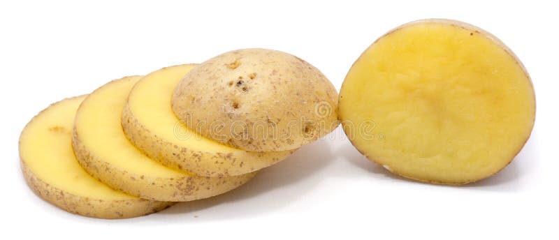 Potato isolated on white stock image. Image of close - 103782495