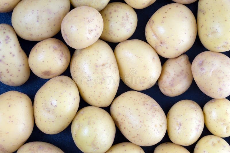 Potato stock photo. Image of cooking, vegetarian, food - 76297656