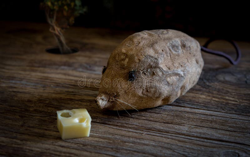 274 Potato Mouse Stock Photos - Free & Royalty-Free Stock Photos from ...